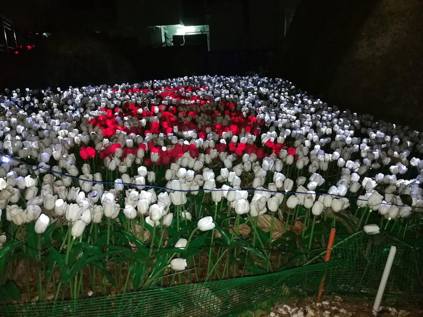 Sunway Carnival Mall | Entrance Fee, Opening Hours & More