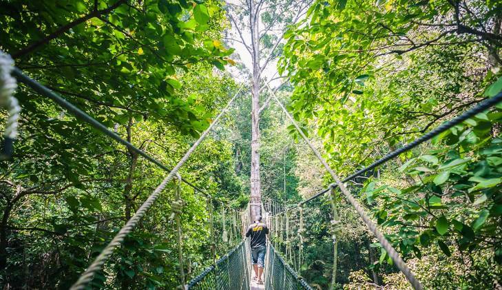 Penang Avatar Secret Garden | Entrance Fee, Opening Hours & More