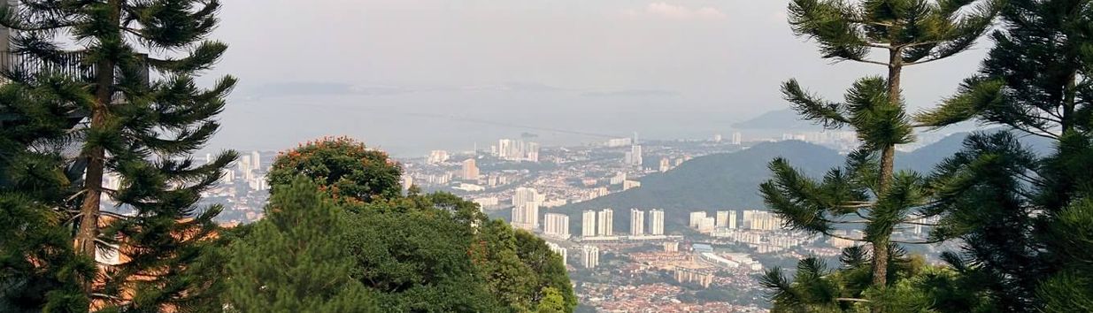 Penang Owl Museum | Entrance Fee, Opening Hours & More