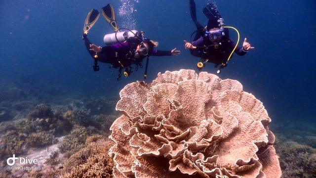 Pirate Reef | Entrance Fee, Opening Hours & More