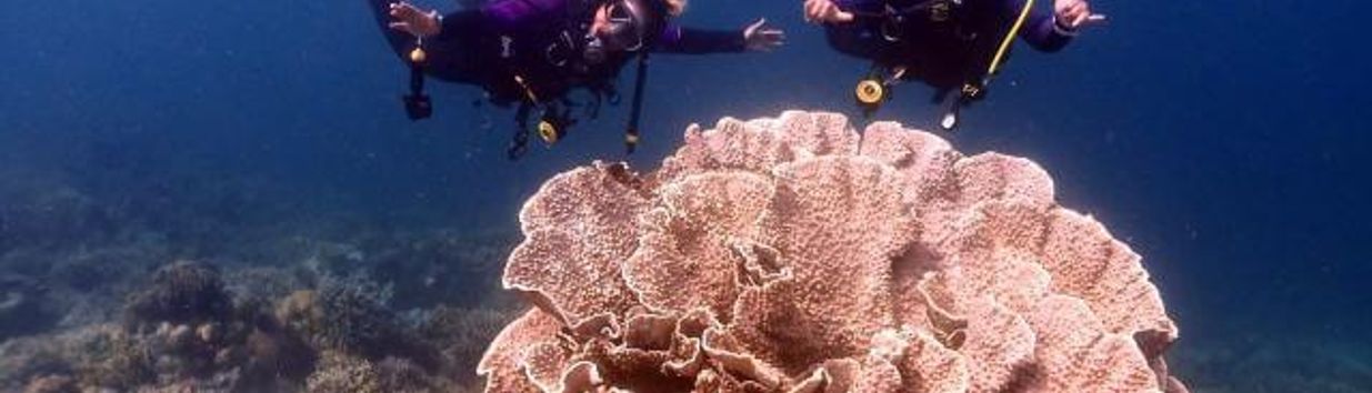 Pirate Reef | Entrance Fee, Opening Hours & More