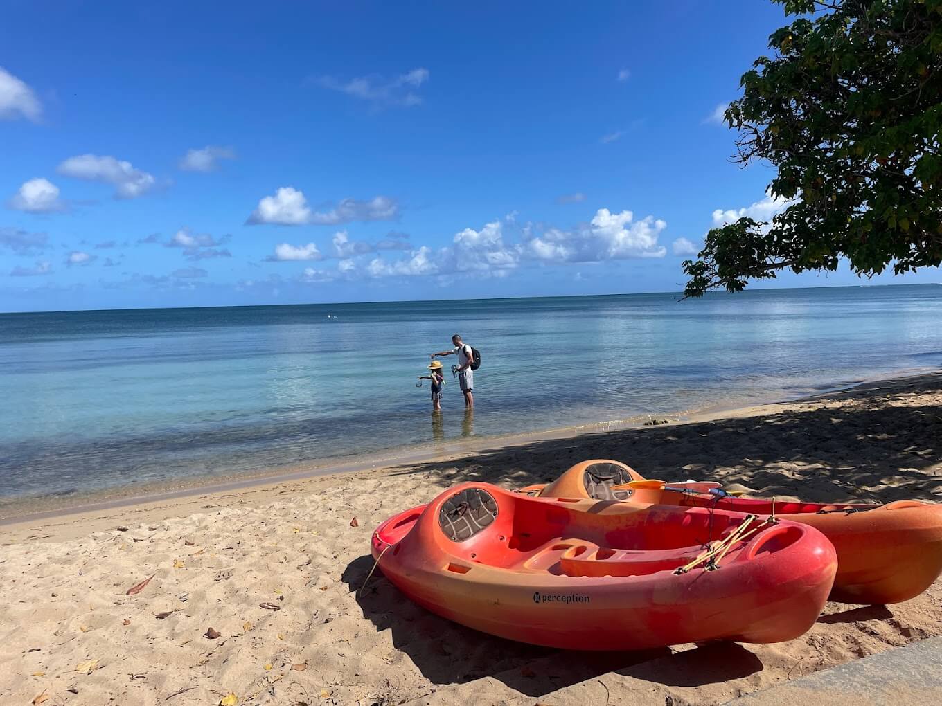 Pirate Snorkeling Shack | Entrance Fee, Opening Hours & More