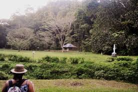 Raja Sikatuna National Park | Entrance Fee, Opening Hours & More