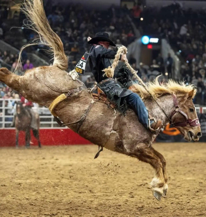 Top Attractions in San Antonio