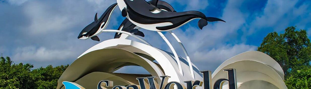 Sea World Ancol | Entrance Fee, Opening Hours & More
