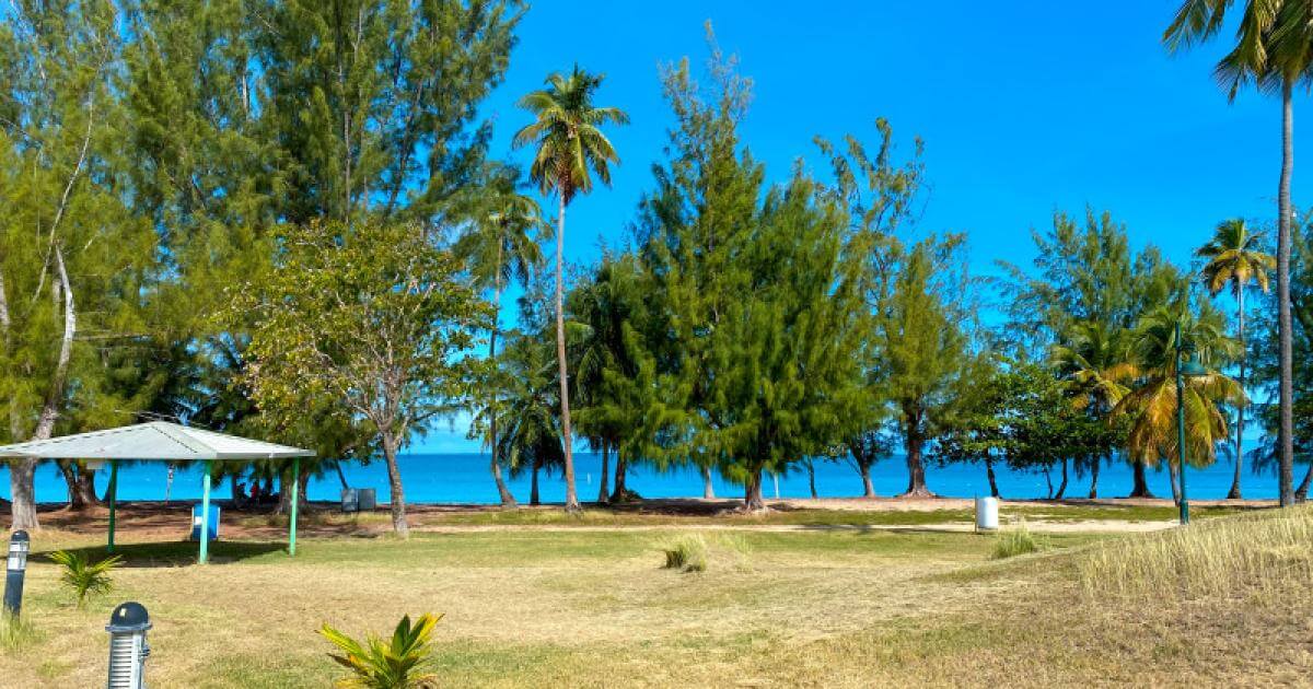 Seven Seas Beach | Entrance Fee, Opening Hours & More