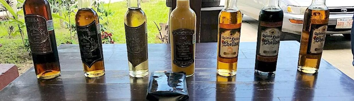 Tequila Factory Vallarta | Entrance Fee, Opening Hours & More