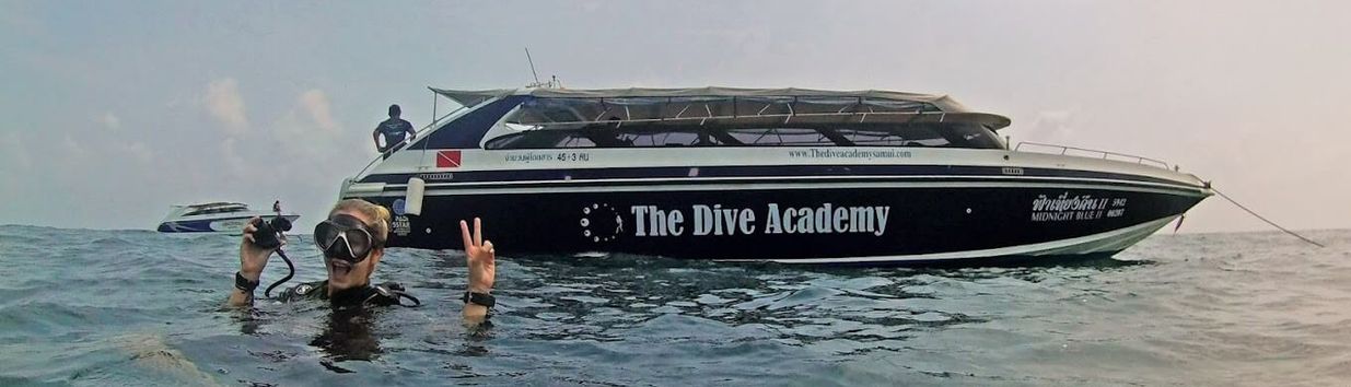 The Dive Academy | Entrance Fee, Opening Hours & More