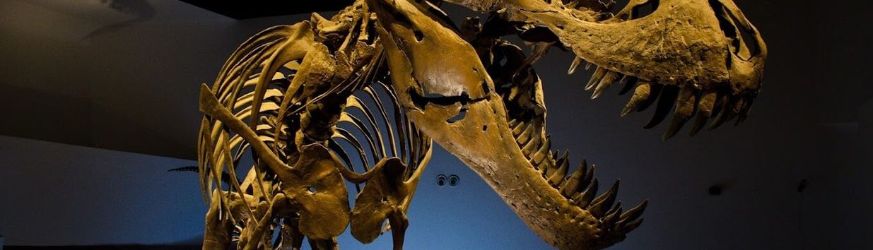 The Mind Museum | Entrance Fee, Opening Hours & More