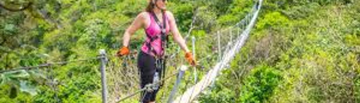 Toro Verde Adventure Park | Entrance Fee, Opening Hours & More