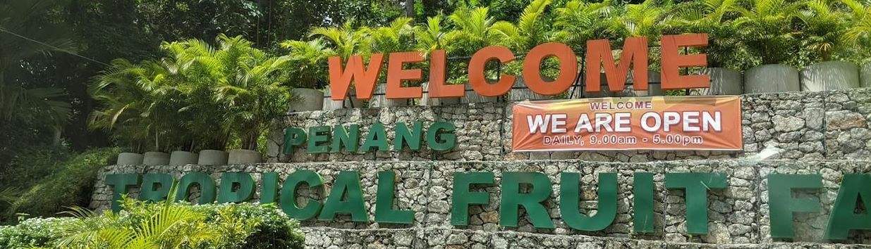 Tropical Fruit Farm | Entrance Fee, Opening Hours & More