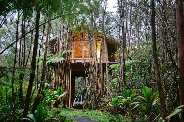 Tropical Treehouse | Entrance Fee, Opening Hours & More