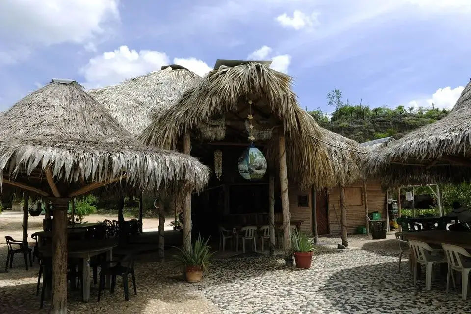 Whale Watching in Samana | Entrance Fee, Opening Hours & More