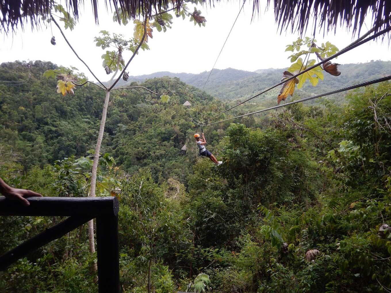 Zipline Samana? | Entrance Fee, Opening Hours & More