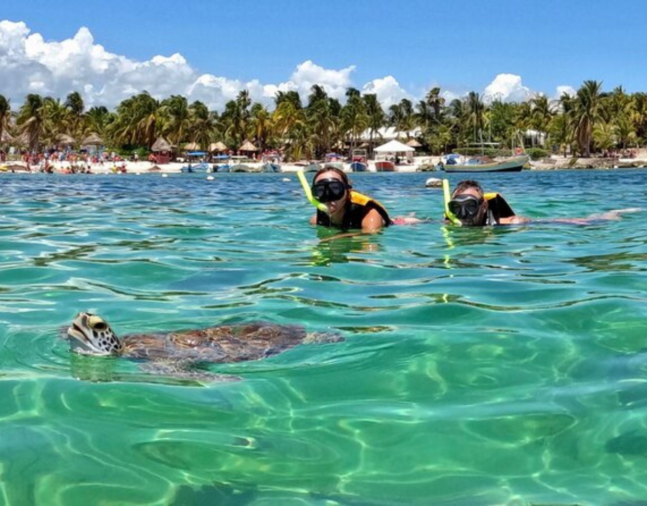 Akumal Beach | Entrance Fee, Opening Hours & More