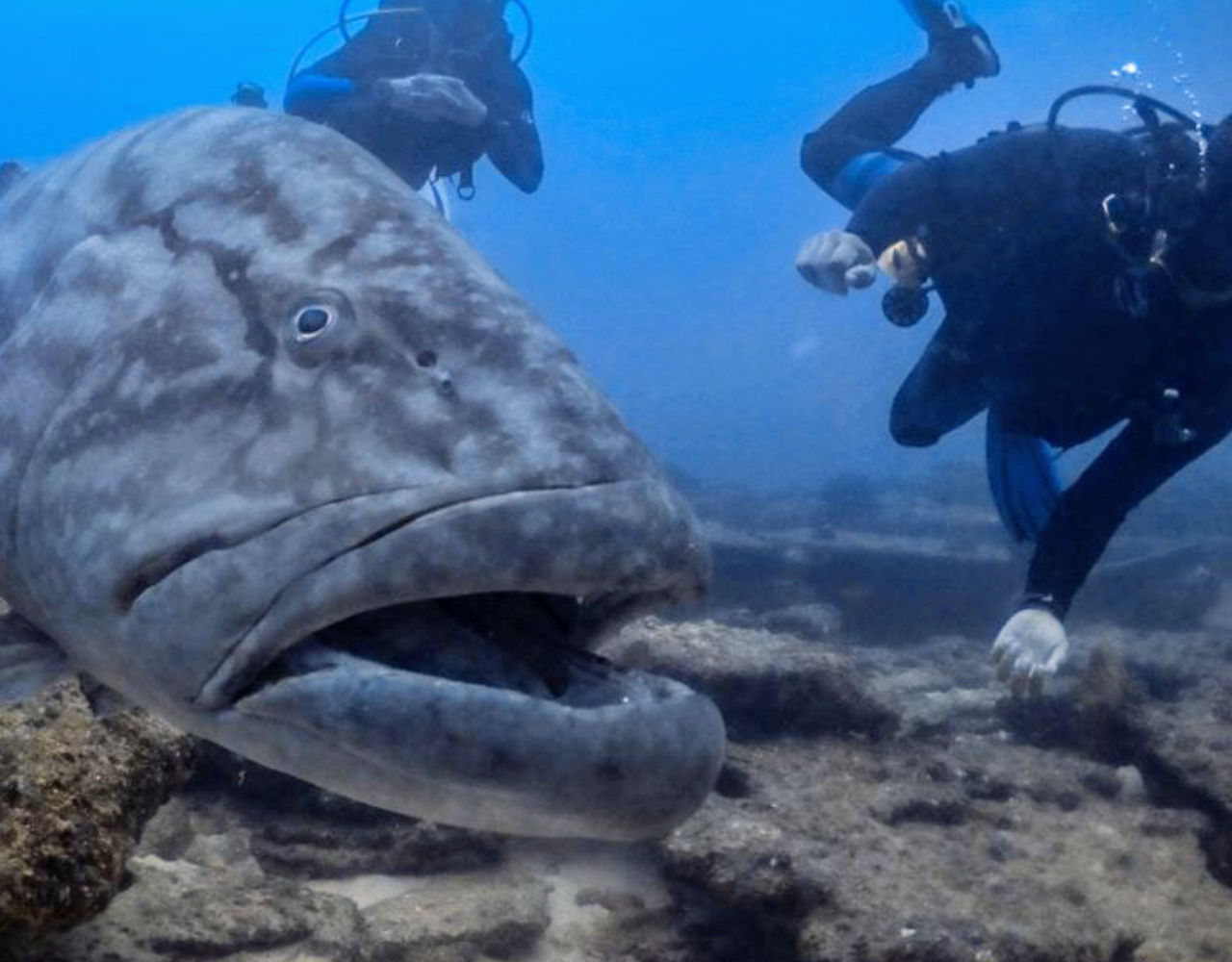 Los Cabos Eco-Adventure Tour | ForeverVacation