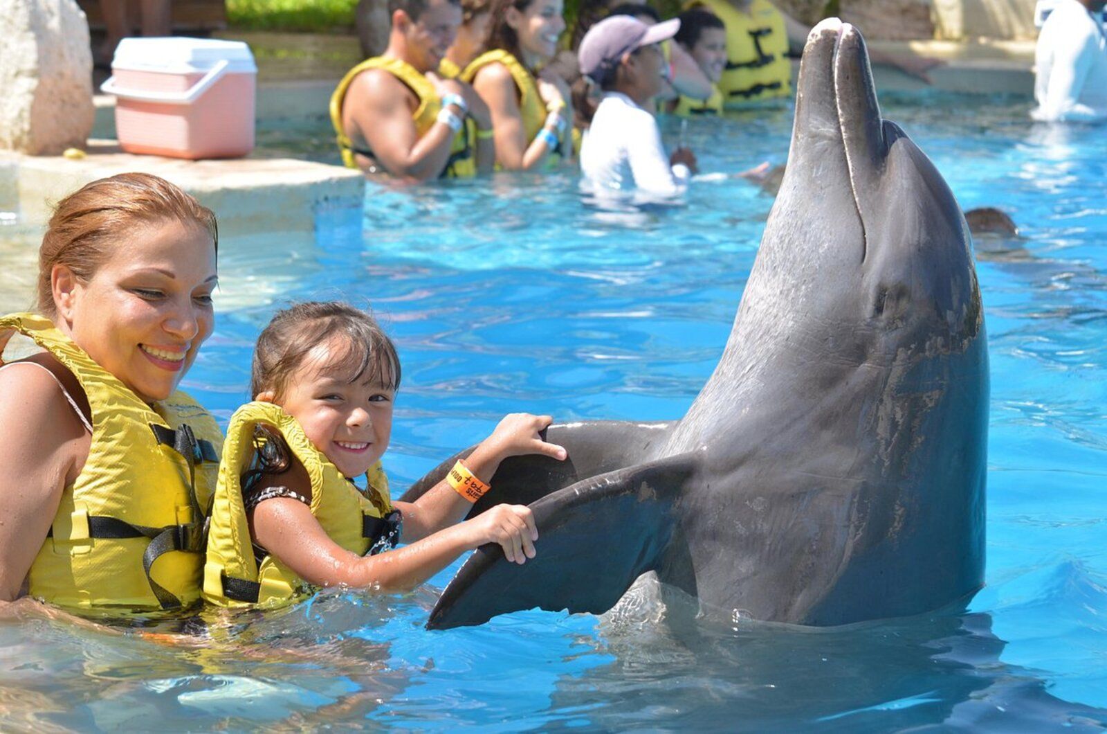Dolphinaris Cancun | Entrance Fee, Opening Hours & More