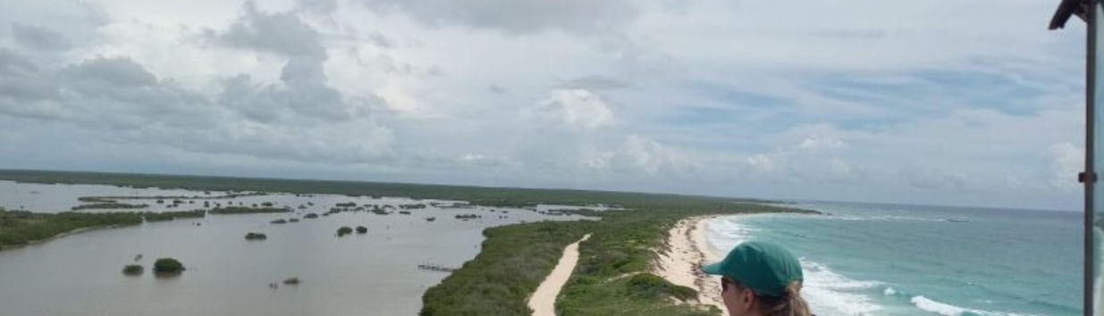 Faro de Punta Celarain | Entrance Fee, Opening Hours & More