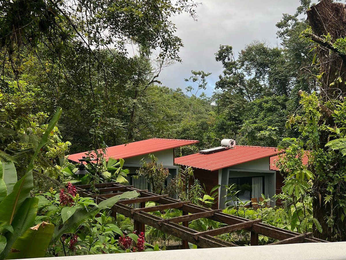 Gecko Trail Costa Rica | Entrance Fee, Opening Hours & More