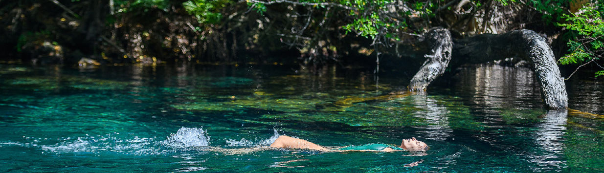 Indigenous Eyes Ecological Park | Entrance Fee, Opening Hours & More