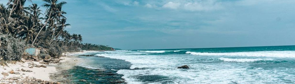 Midigama Beach | Entrance Fee, Opening Hours & More