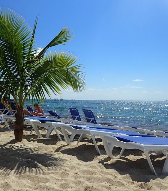 Cozumel Reef Explorer & Beach Tranquility Tour | ForeverVacation