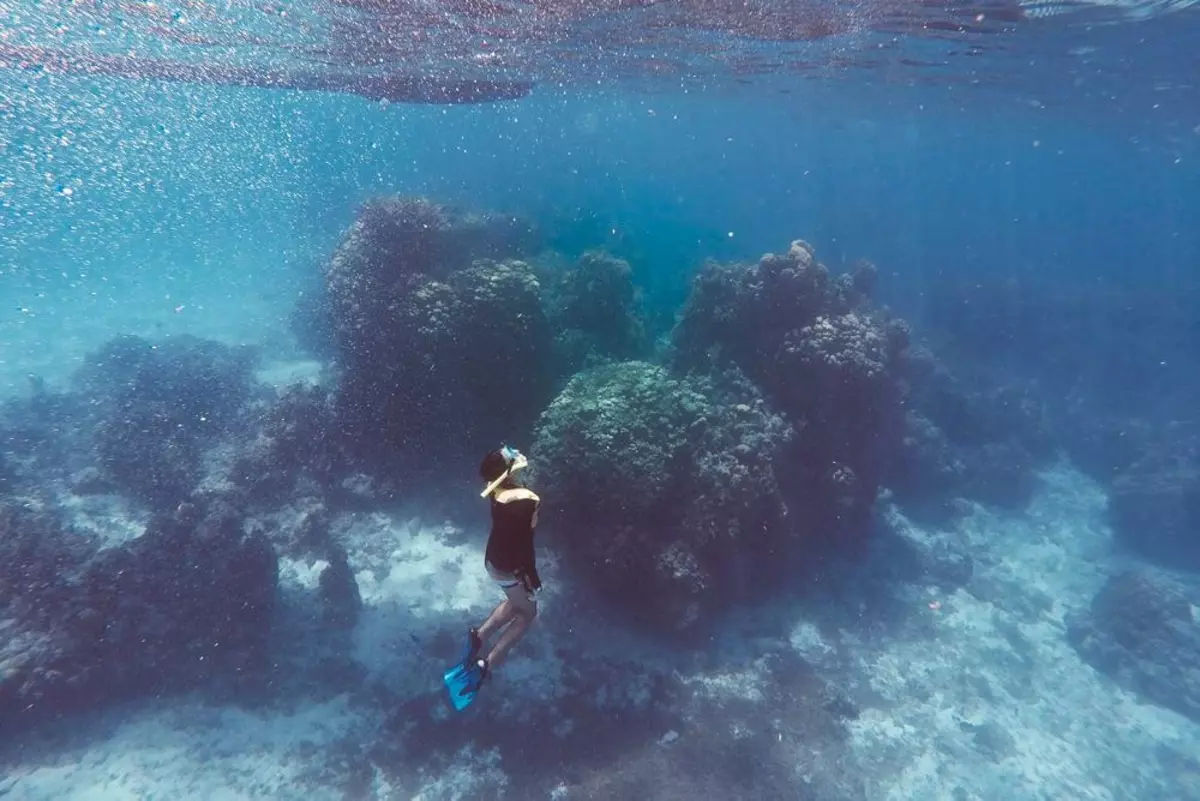 Palancar Reef | Entrance Fee, Opening Hours & More