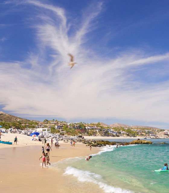 Los Cabos Beach Hopper Tour | ForeverVacation
