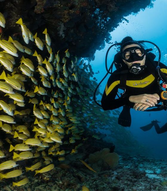 Cozumel Reef Explorer & Beach Tranquility Tour | ForeverVacation