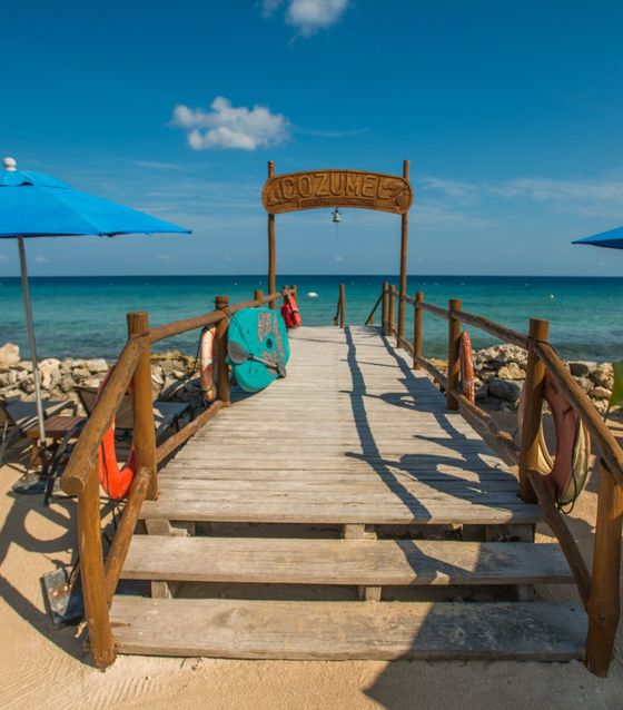 Cozumel Reef Explorer & Beach Tranquility Tour | ForeverVacation