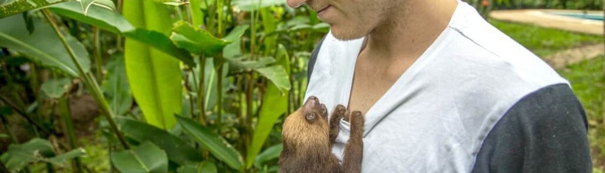 Sloth Sanctuary of Costa Rica | Entrance Fee, Opening Hours & More