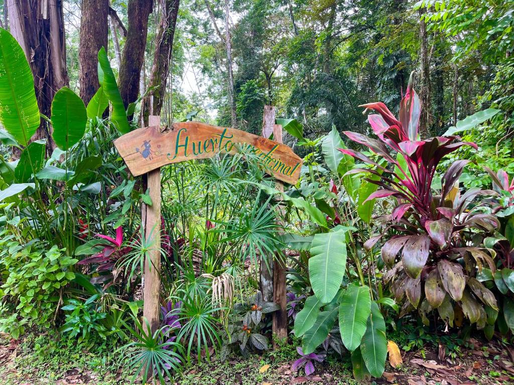 Tree of Life Costa Rica | Entrance Fee, Opening Hours & More