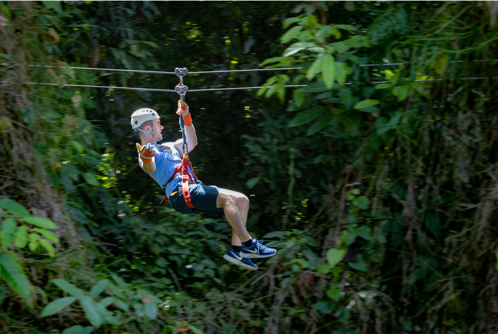 Veragua Rainforest Eco-Adventure | Entrance Fee, Opening Hours & More