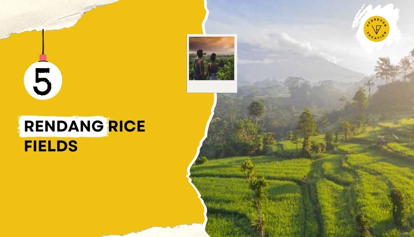 Bali’s Rice Fields – The Most Breathtaking Rice Terraces