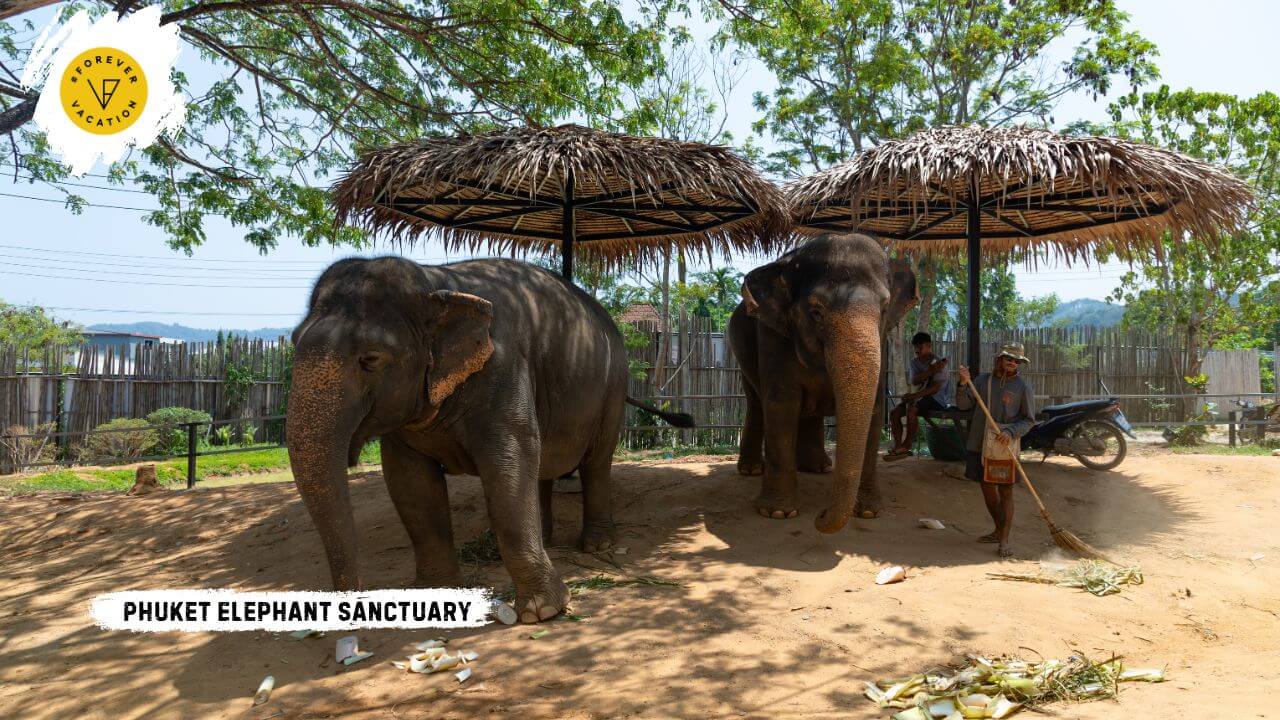 Best Places to Visit in Phuket with Family - ForeverVacation