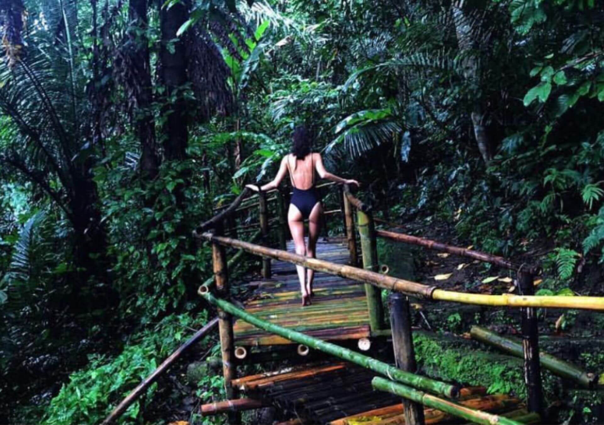 Manila Rainforest Escape and Waterfall Day Retreat (Private & All ...