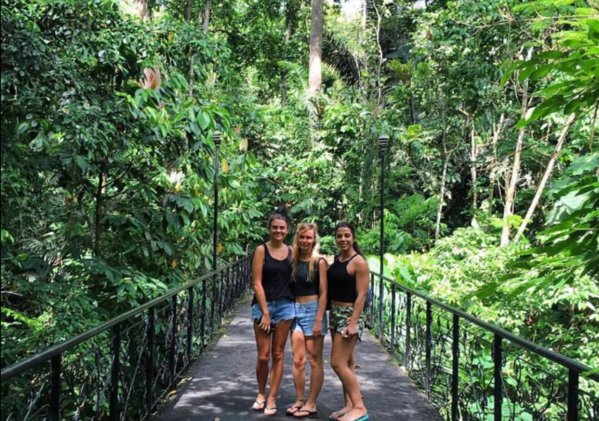 Manila Rainforest Escape and Waterfall Day Retreat (Private & All ...