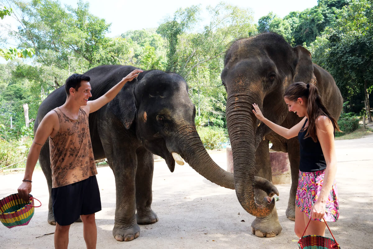 Ethical Elephant Experience & Intara Farm Tour | Elephant Tours Phuket