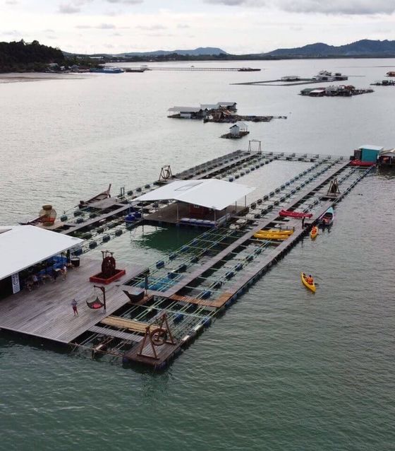 Ethical Elephant Experience & Intara Farm Tour | Elephant Tours Phuket