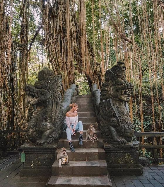 Monkey Forest Bali Tour | Best Ubud Monkey Forest Tour