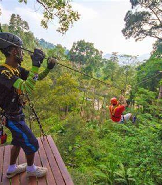 Phuket Zip-line Experience | Private Phuket Zip-Line Tour