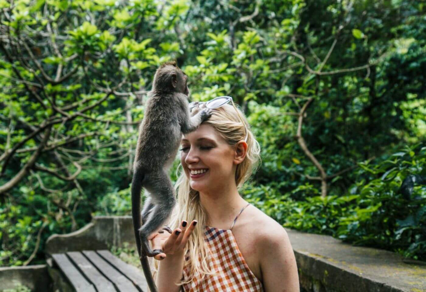 Bali Bird Park & Monkey Forest Tour | Private Bali Animal Tour