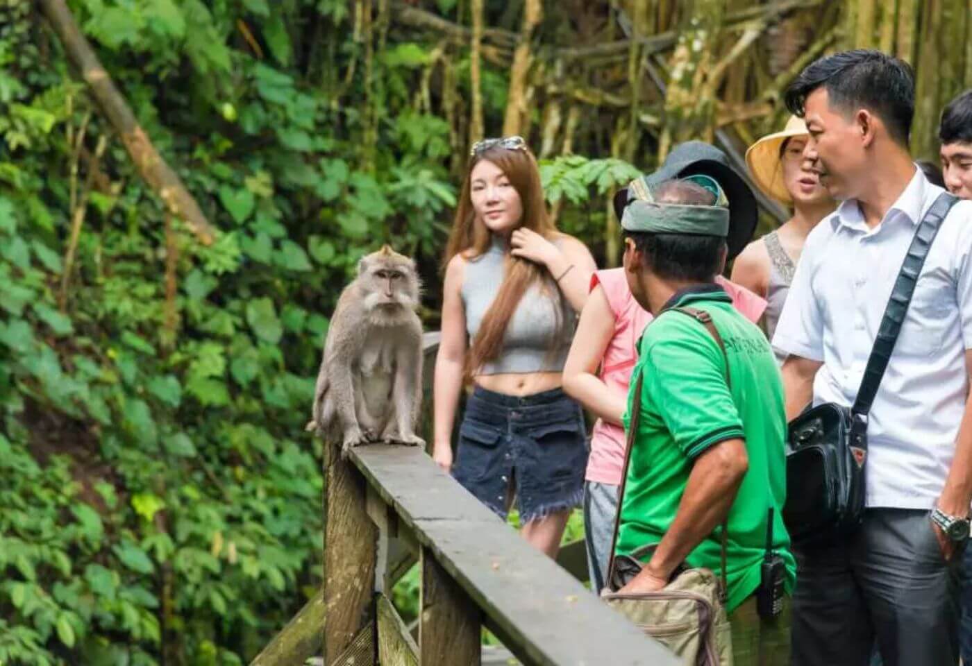 Bali Bird Park & Monkey Forest Tour | Private Bali Animal Tour
