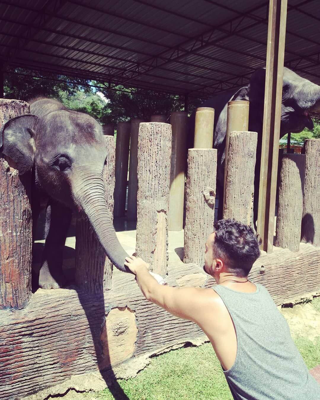 Kuala Lumpur Elephant Sanctuary Day Tour - Elephants in Kuala Lumpur